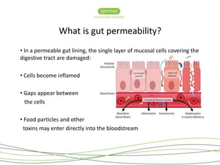 Nutritional protocols for gut permeability, with nutritionist Kyla ...