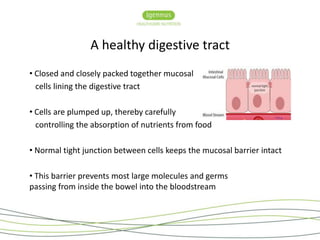 Nutritional protocols for gut permeability, with nutritionist Kyla ...
