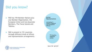 Managing an FAO country website | PDF | Web Development | Internet