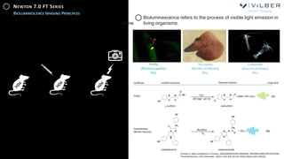Principles of Bioluminescence and Fluorescence Imaging While Using 3D ...