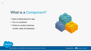 Webinar: Salesforce Customization using Visualforce and Lightning ...