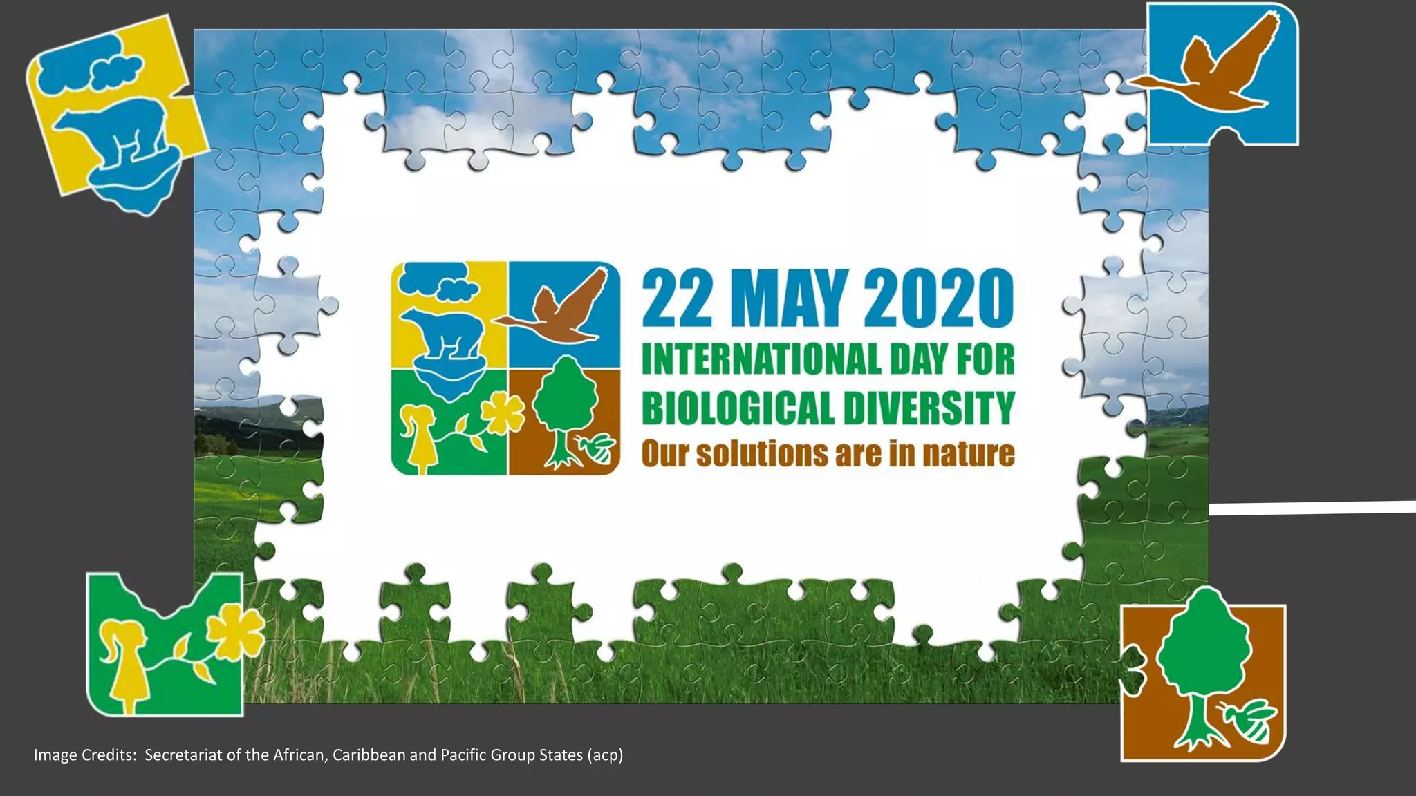 Global Soil Biodiversity: Status, gaps and way forward Ms Monica ...