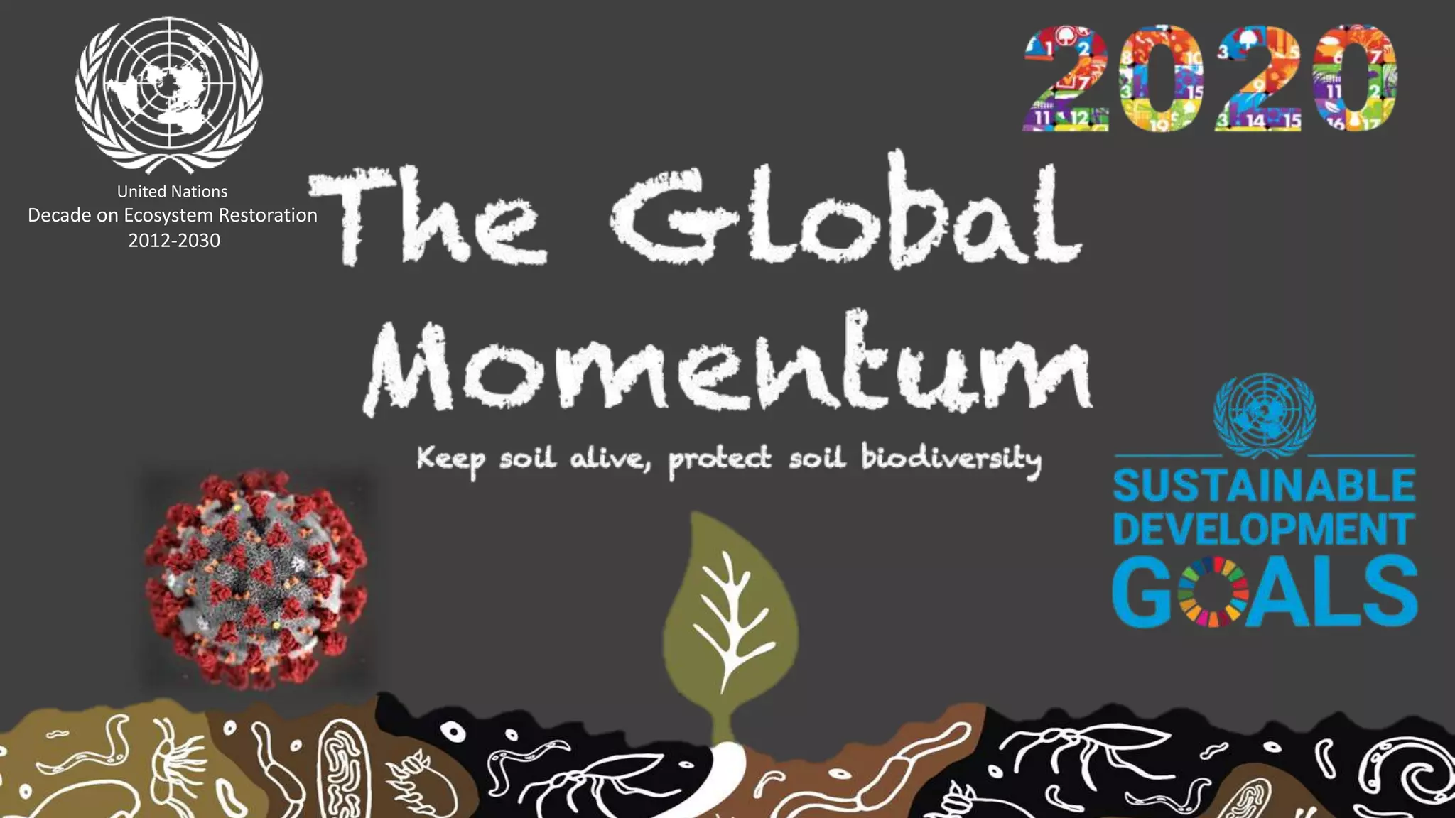 Global Soil Biodiversity: Status, gaps and way forward Ms Monica ...
