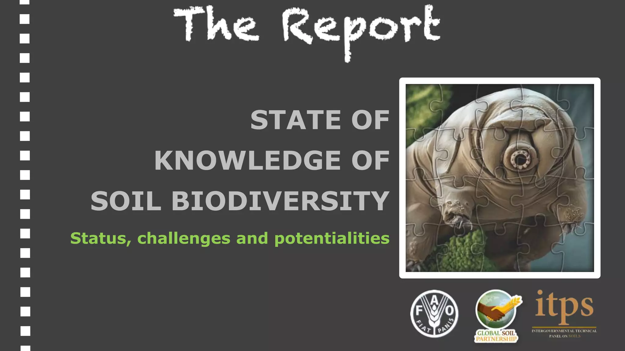 Global Soil Biodiversity: Status, gaps and way forward Ms Monica ...