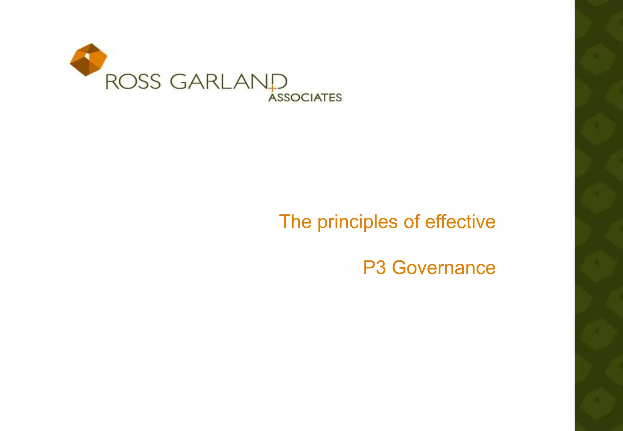 he Principles of Effective Project, Programme and Portfolio Management ...