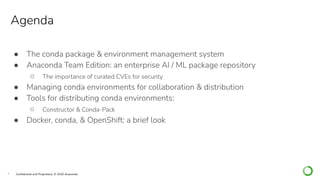 Elevate Your Enterprise Python and R AI, ML Software Strategy with ...