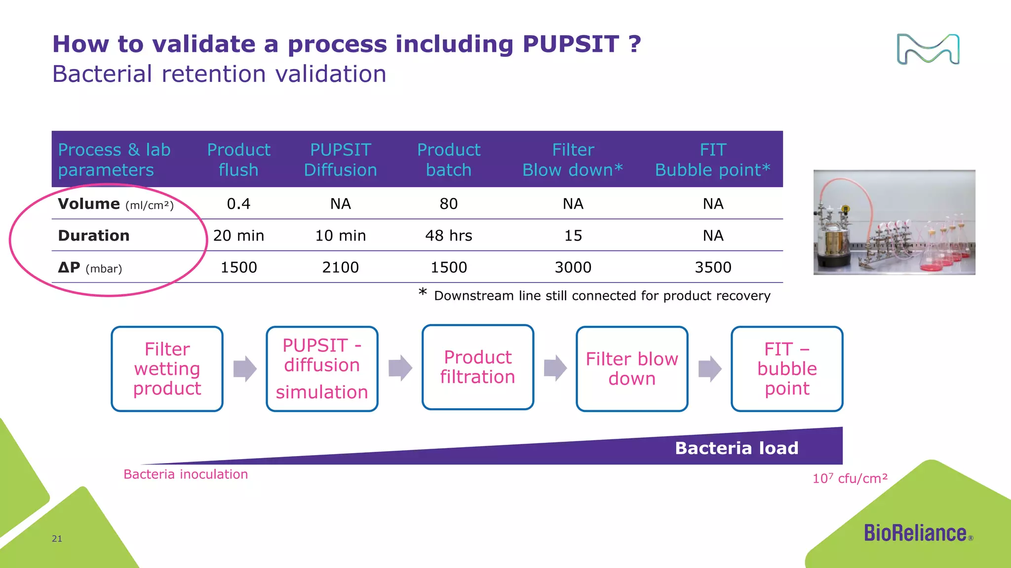 EU GMP Annex 1 Draft: Implications on Sterilizing Grade Filter Validation | PDF