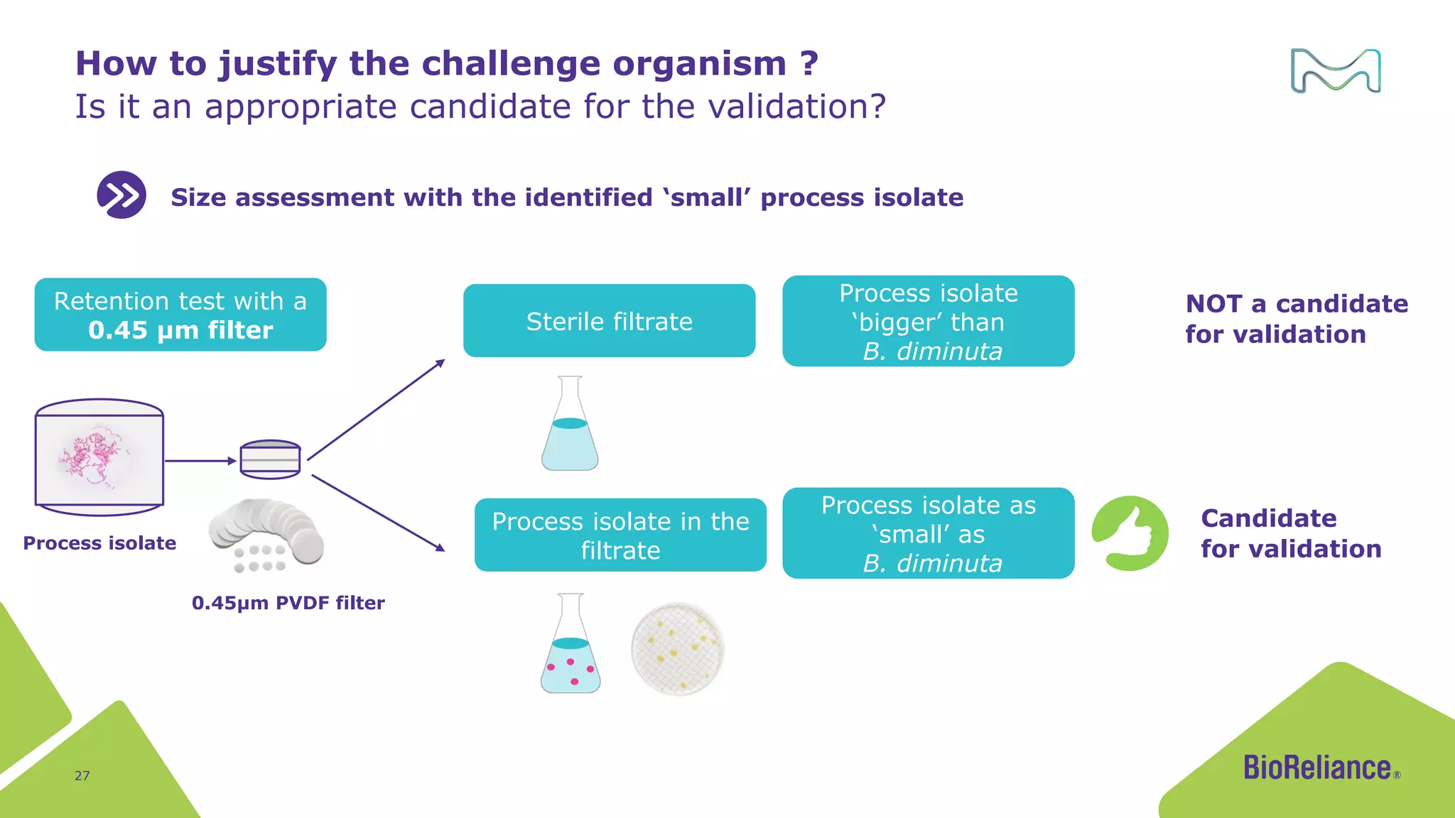 EU GMP Annex 1 Draft: Implications on Sterilizing Grade Filter ...