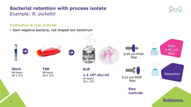 EU GMP Annex 1 Draft: Implications on Sterilizing Grade Filter ...