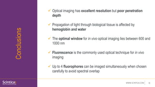 Introducing the IVM Intravital Microscope | PPTX
