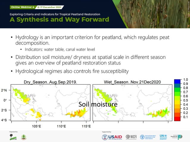 Rewetting peatlands to restore integrity across landscapes: Peatland ...