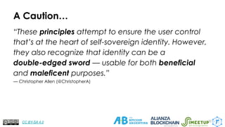 Self-Sovereign Identity: Ideology and Architecture with Christopher ...