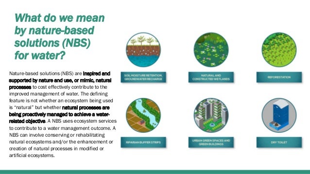 Nature-based solutions for agricultural water management and food sec…