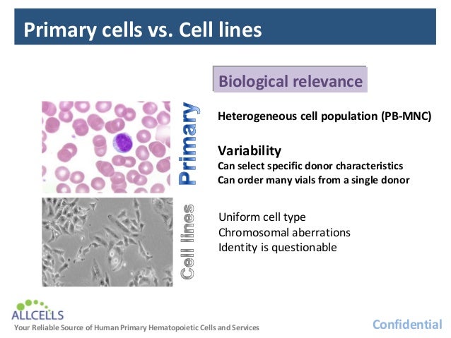 Primary Cells 101