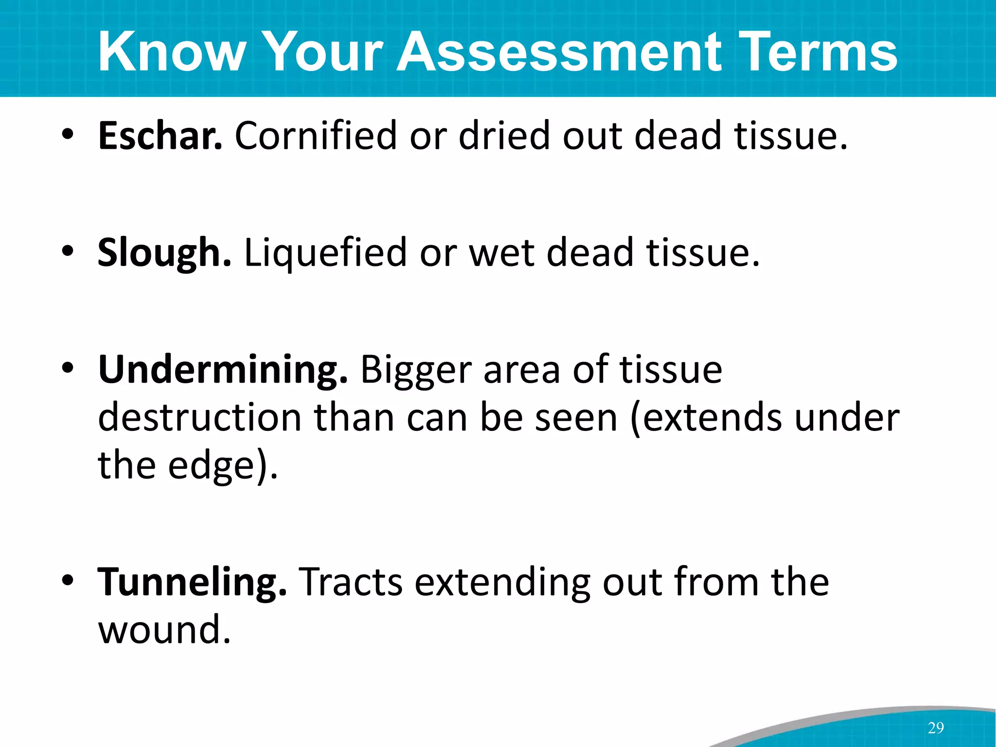 webinar6_pu_woundassesst (1).pdf