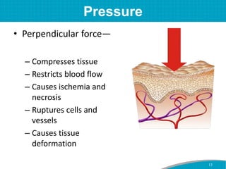 webinar6_pu_woundassesst (1).pdf