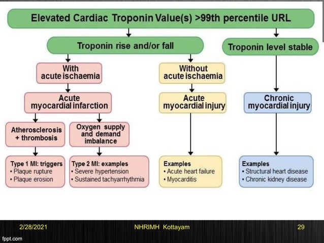 Webinar cardiac biomarkers | PPT
