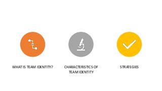 Characteristics of Team Identity | PPTX