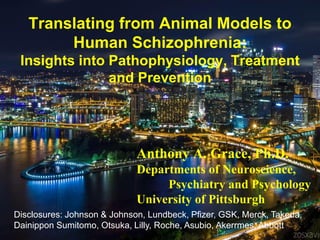Translating from Animal Models to Human Schizophrenia - Insights into ...