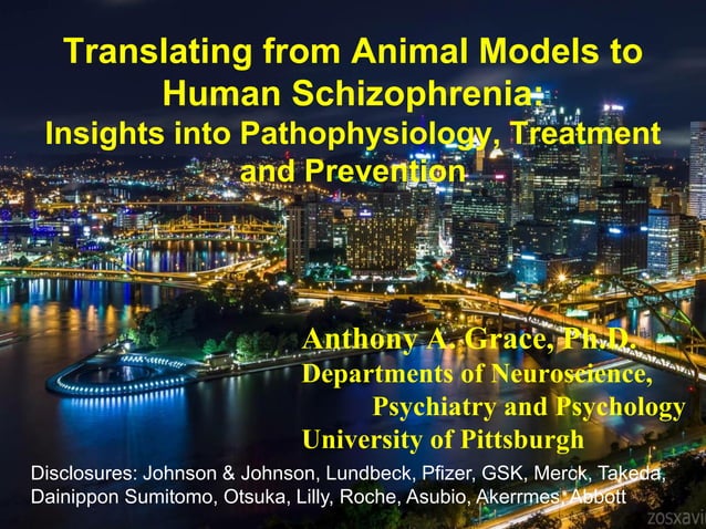 Translating from Animal Models to Human Schizophrenia - Insights into ...