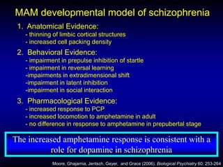 Translating from Animal Models to Human Schizophrenia - Insights into ...