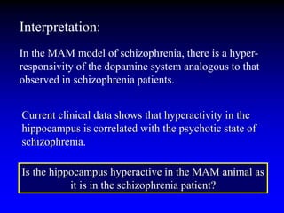 Translating from Animal Models to Human Schizophrenia - Insights into ...