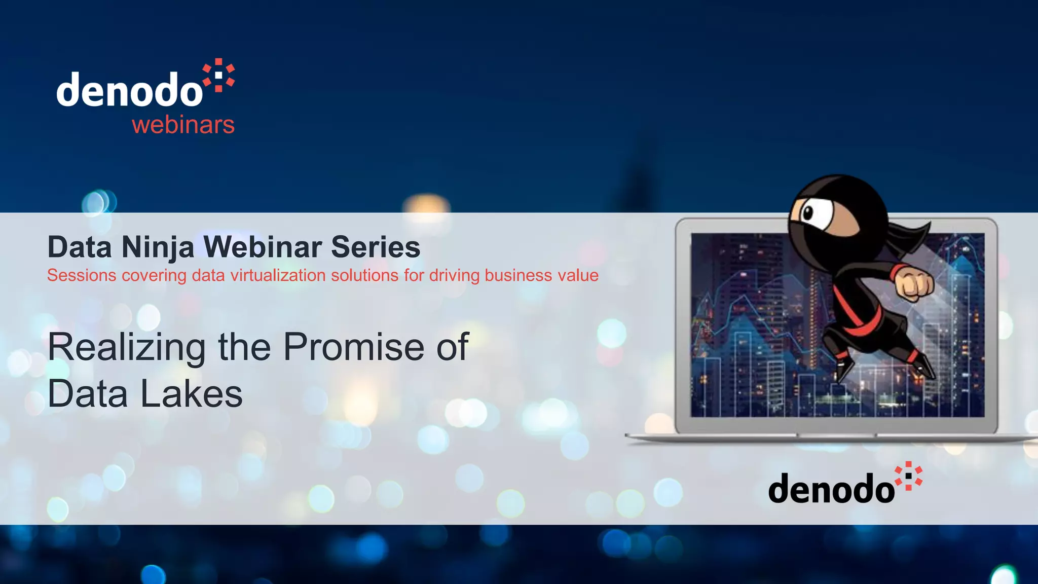 Data Ninja Webinar Series: Realizing the Promise of Data Lakes | PDF