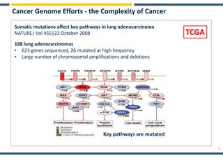 Identification and Prioritization of Drug Combinations for Treatment of ...