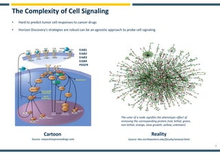 Identification and Prioritization of Drug Combinations for Treatment of ...