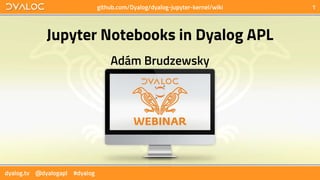webinar_jupyter_notebooks.pptx