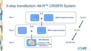 Getting started with CRISPR: a review of gene knockout and homology ...