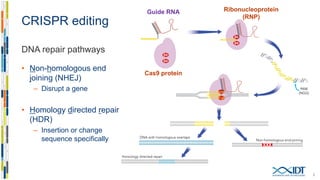 Getting started with CRISPR: a review of gene knockout and homology ...