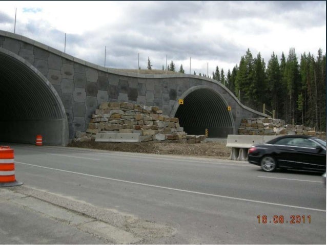 Bridge-Plate & Multi-Plate Applications and Case Studies (Ron Prychit…