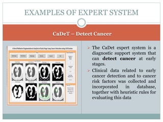 Artificial Intelligence and Expert System | PPT