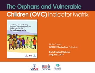 The Orphans and Vulnerable Children (OVC) Indicator Matrix | PPTX
