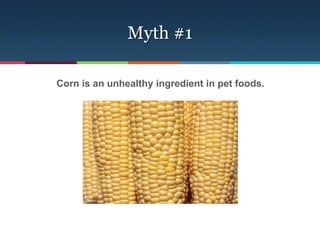 5 myths you should know about dog and cat foods | PPTX