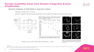 Scientific Comprehension of Cell Line Development Strategy Based on the ...