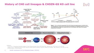 Scientific Comprehension of Cell Line Development Strategy Based on the ...