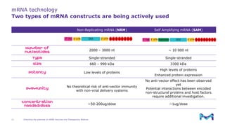 Unlocking the Potential of mRNA Vaccines and Therapeutics | PDF
