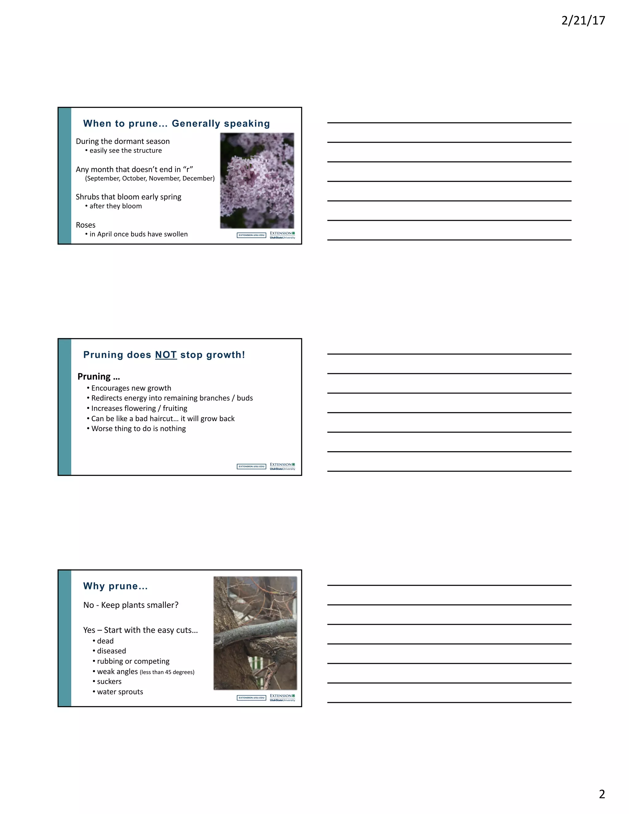 Pruning Trees And Shrubs Pdf