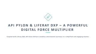 API Pylon Webinar Slides | PPT
