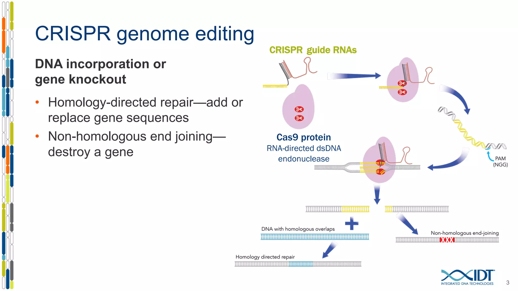 Ribonucleoprotein delivery of CRISPR-Cas9 reagents for increased gene editing efficiency | PDF