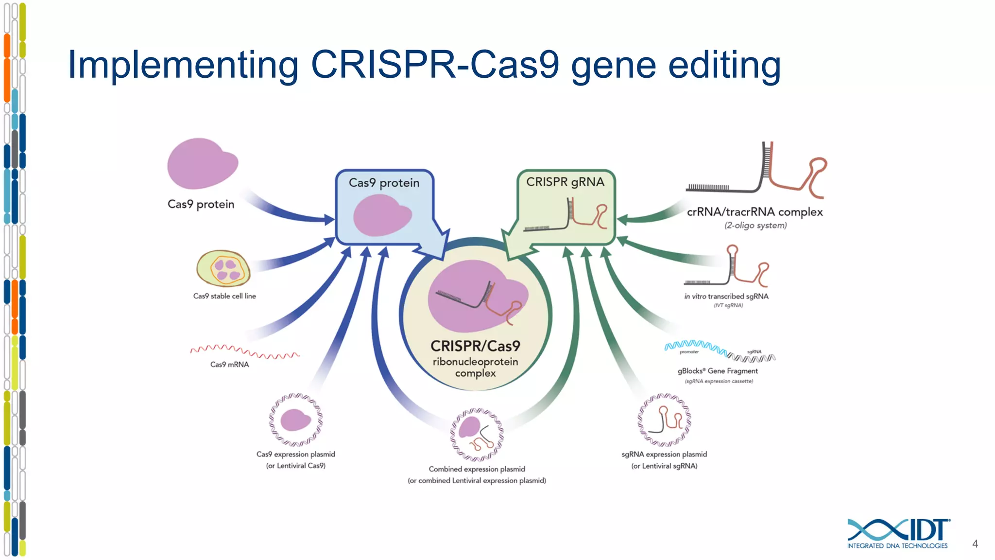 Ribonucleoprotein delivery of CRISPR-Cas9 reagents for increased gene editing efficiency | PDF