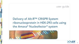 Ribonucleoprotein delivery of CRISPR-Cas9 reagents for increased gene ...