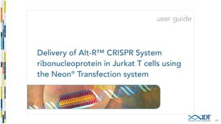 Ribonucleoprotein delivery of CRISPR-Cas9 reagents for increased gene editing efficiency | PDF