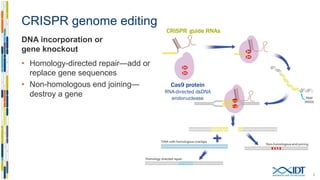 Ribonucleoprotein delivery of CRISPR-Cas9 reagents for increased gene ...