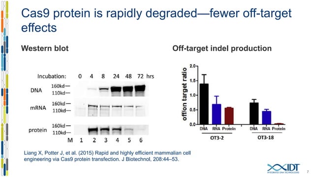 Ribonucleoprotein delivery of CRISPR-Cas9 reagents for increased gene ...