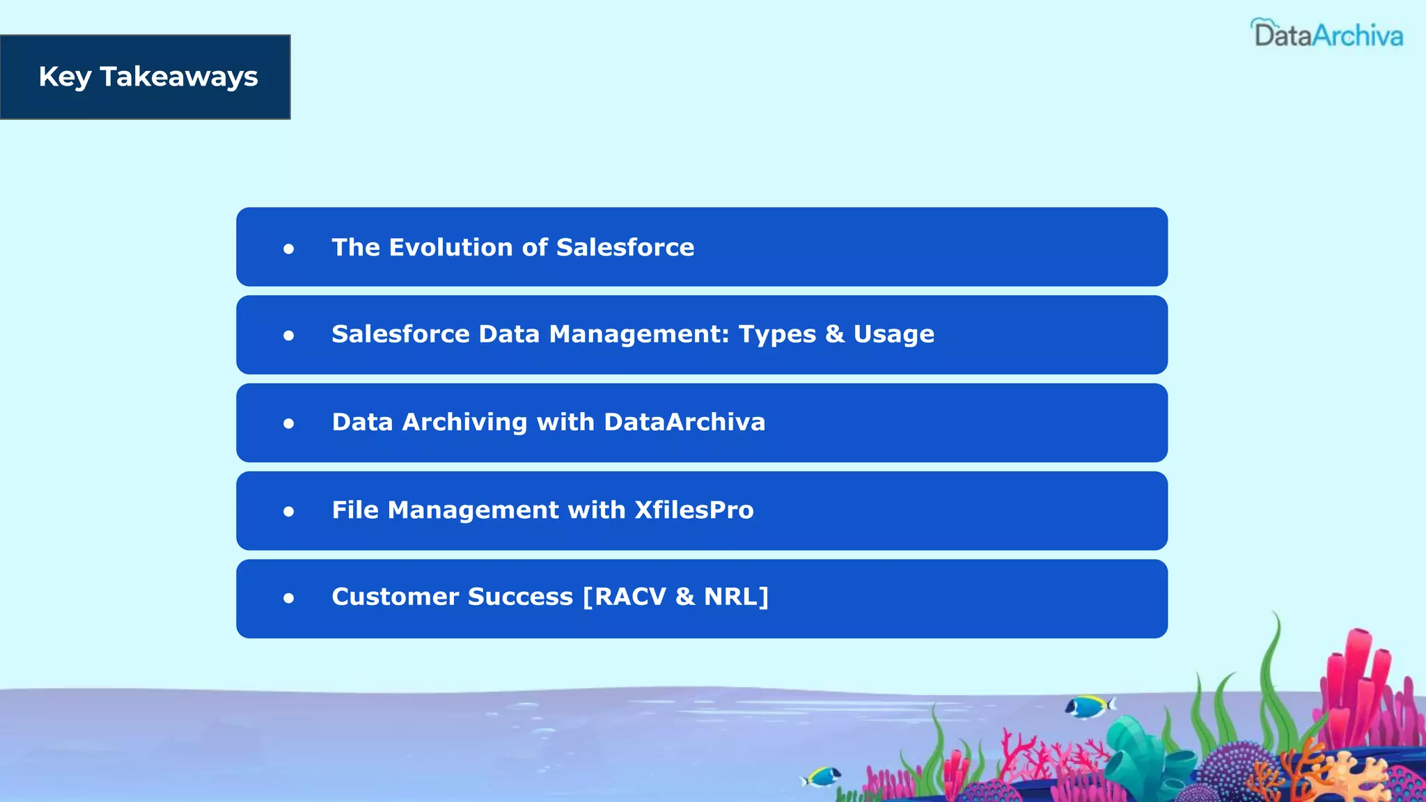 Next-gen Salesforce Data Management Strategy: Storage, Performance ...