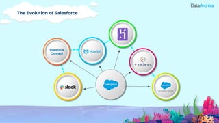 Next-gen Salesforce Data Management Strategy: Storage, Performance ...