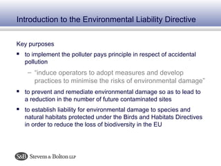 Environmental Risk Management | PPT